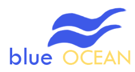 Blue Ocean logo – The Expatriate